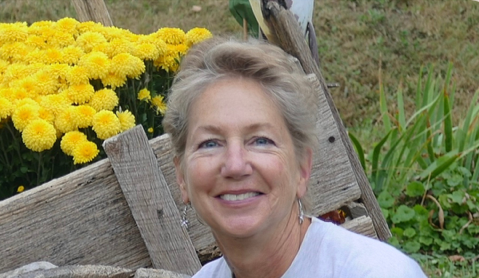 Home [www.allherenow.net]